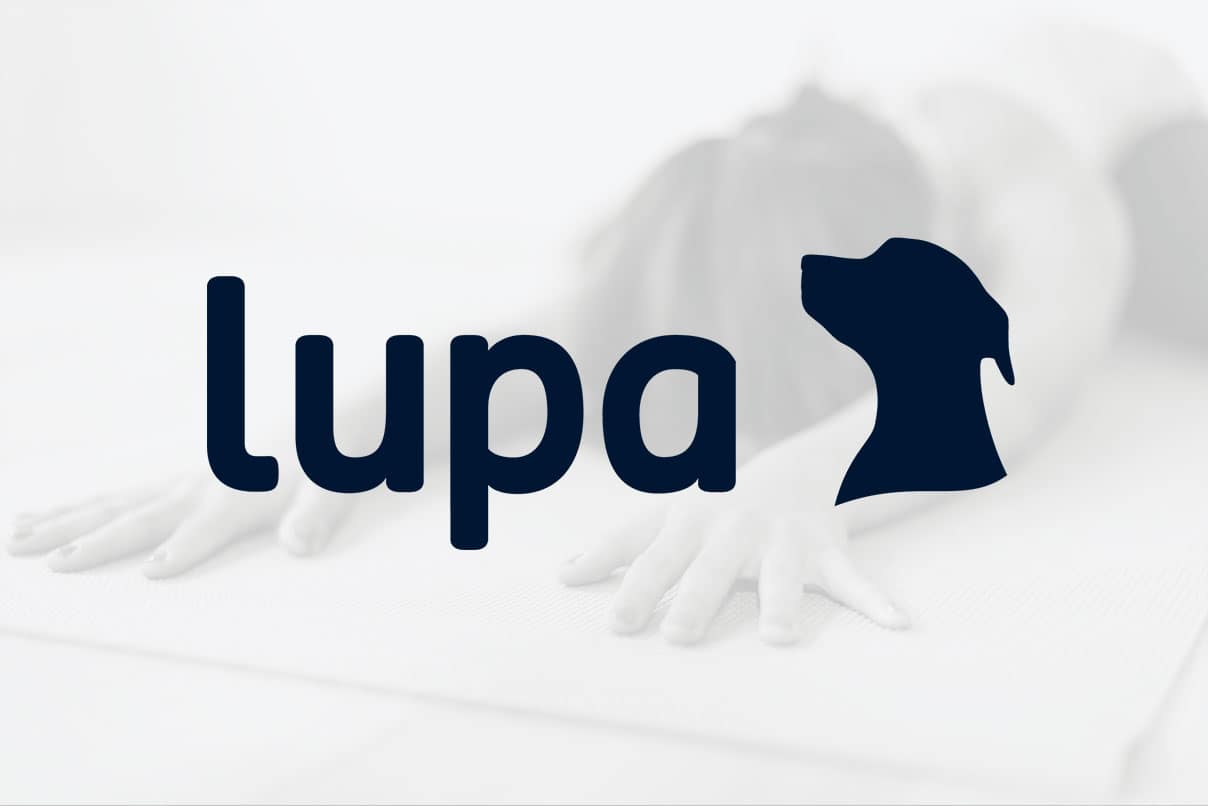 Lupa – Robert Hacala Brand Identity Portfolio